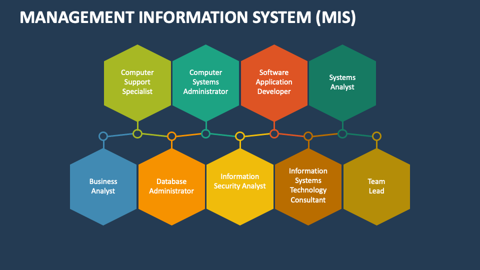 Management Information System (MIS) | Tech Bay IT Solutions